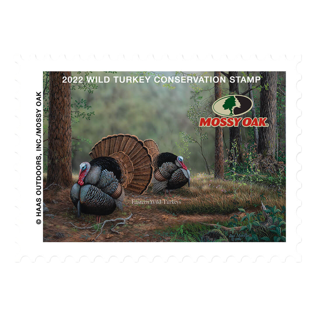 2022 Wild Turkey Stamp – The Mossy Oak Store